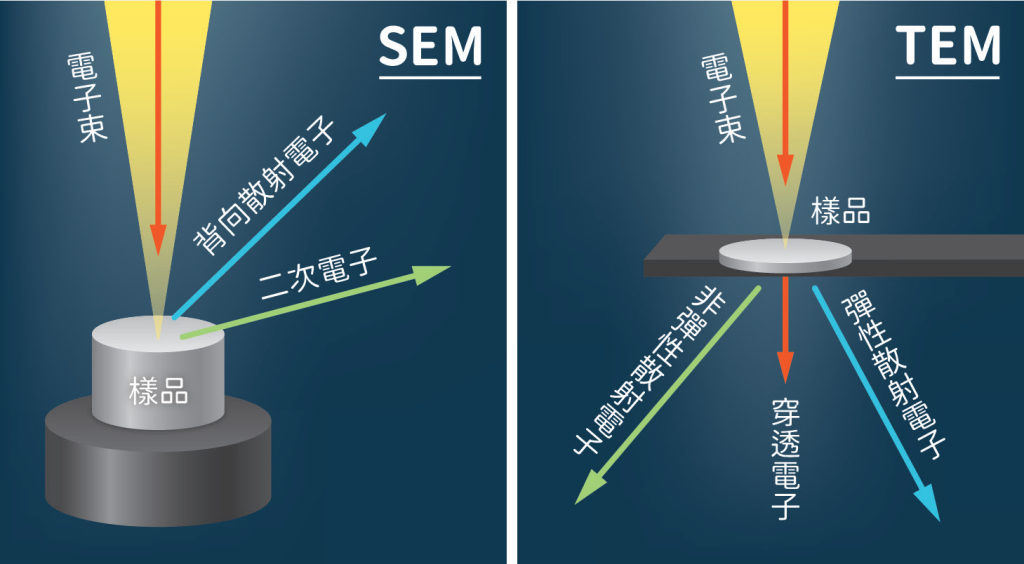 電子顯微鏡：揭開肉眼看不見的世界 - 科學月刊Science Monthly