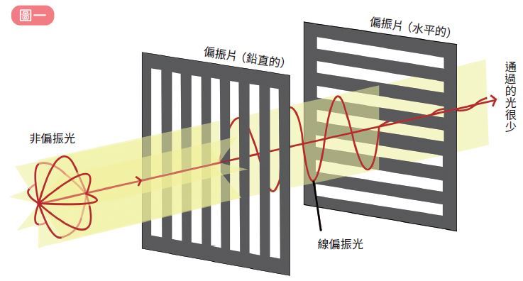 讓拍攝的影像更清晰 濾掉反射光的相機偏光鏡片 - 科學月刊Science Monthly